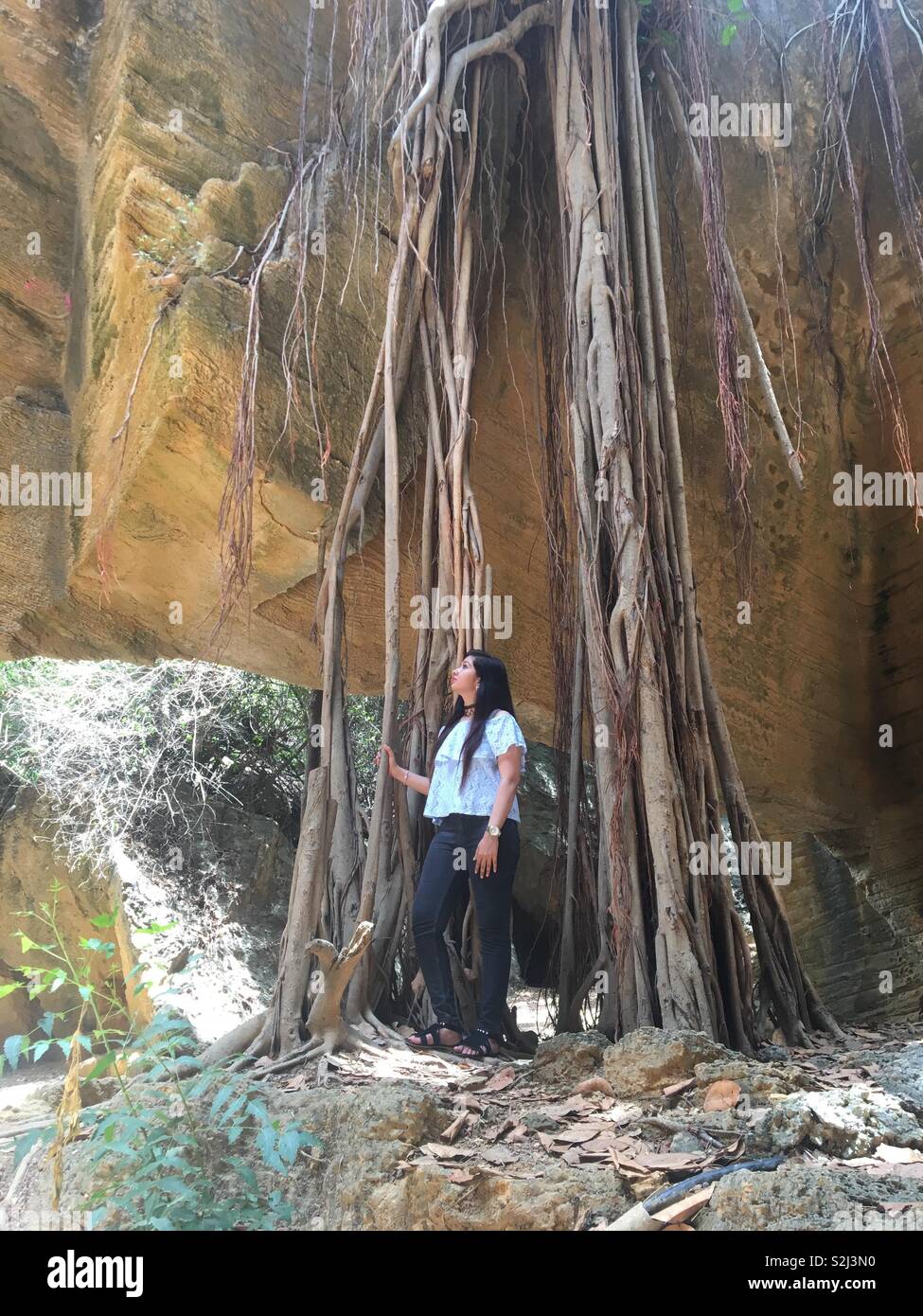 Cave with tree hi-res stock photography and images - Alamy