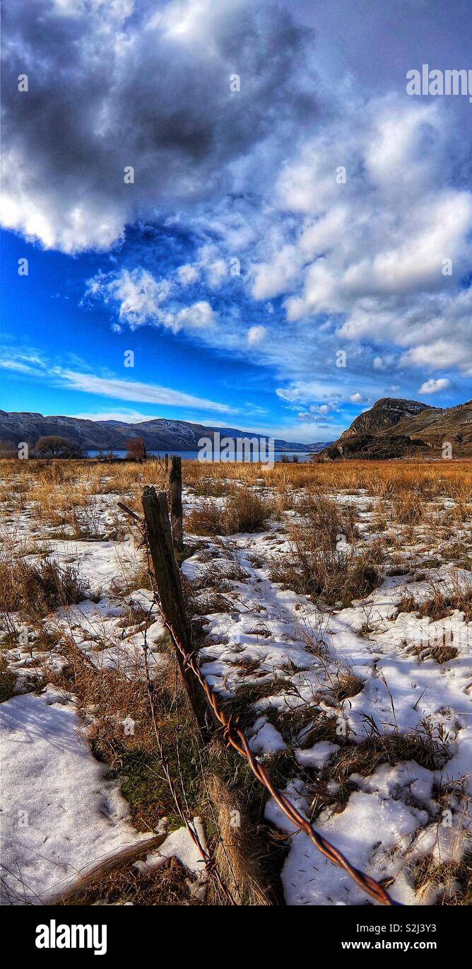 Grasslands in the winter Stock Photo - Alamy