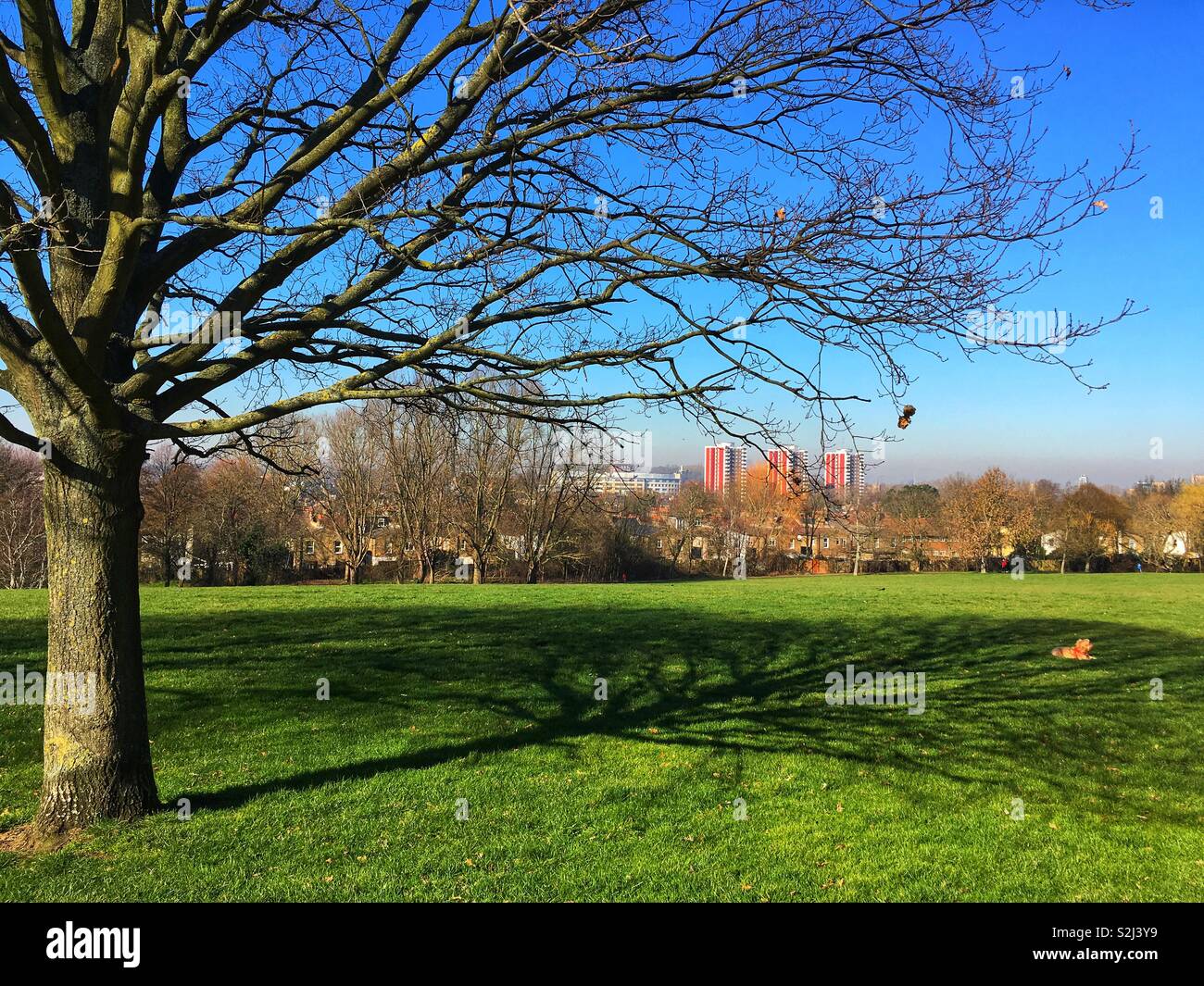 Mountsfield Park in Lewisham London, England on February 26 2019 Stock ...