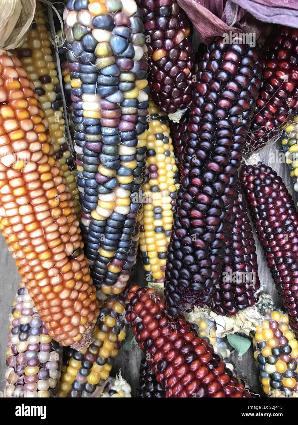 Colourful Corn High Resolution Stock Photography and Images - Alamy