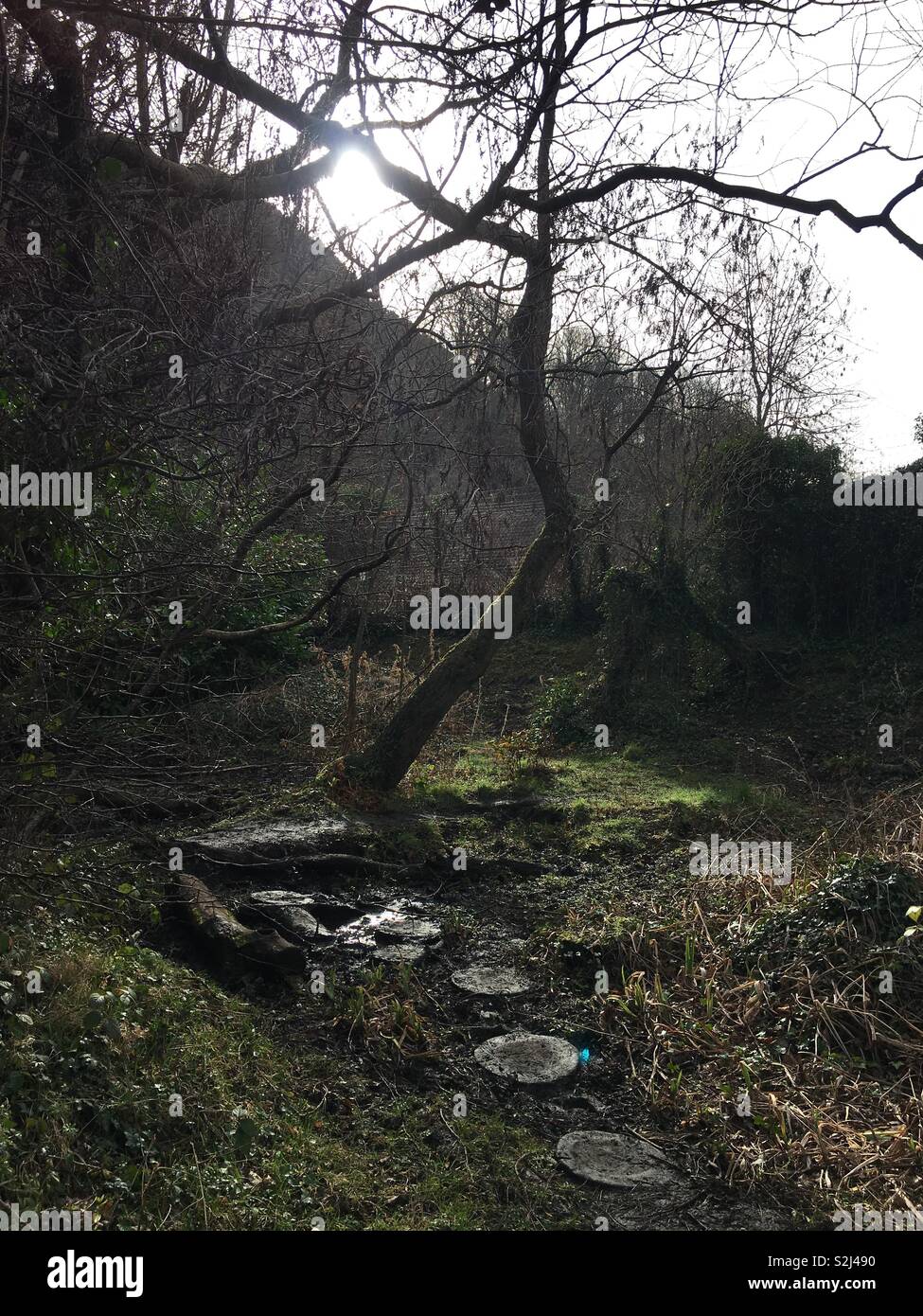 Stones woodland hi-res stock photography and images - Alamy