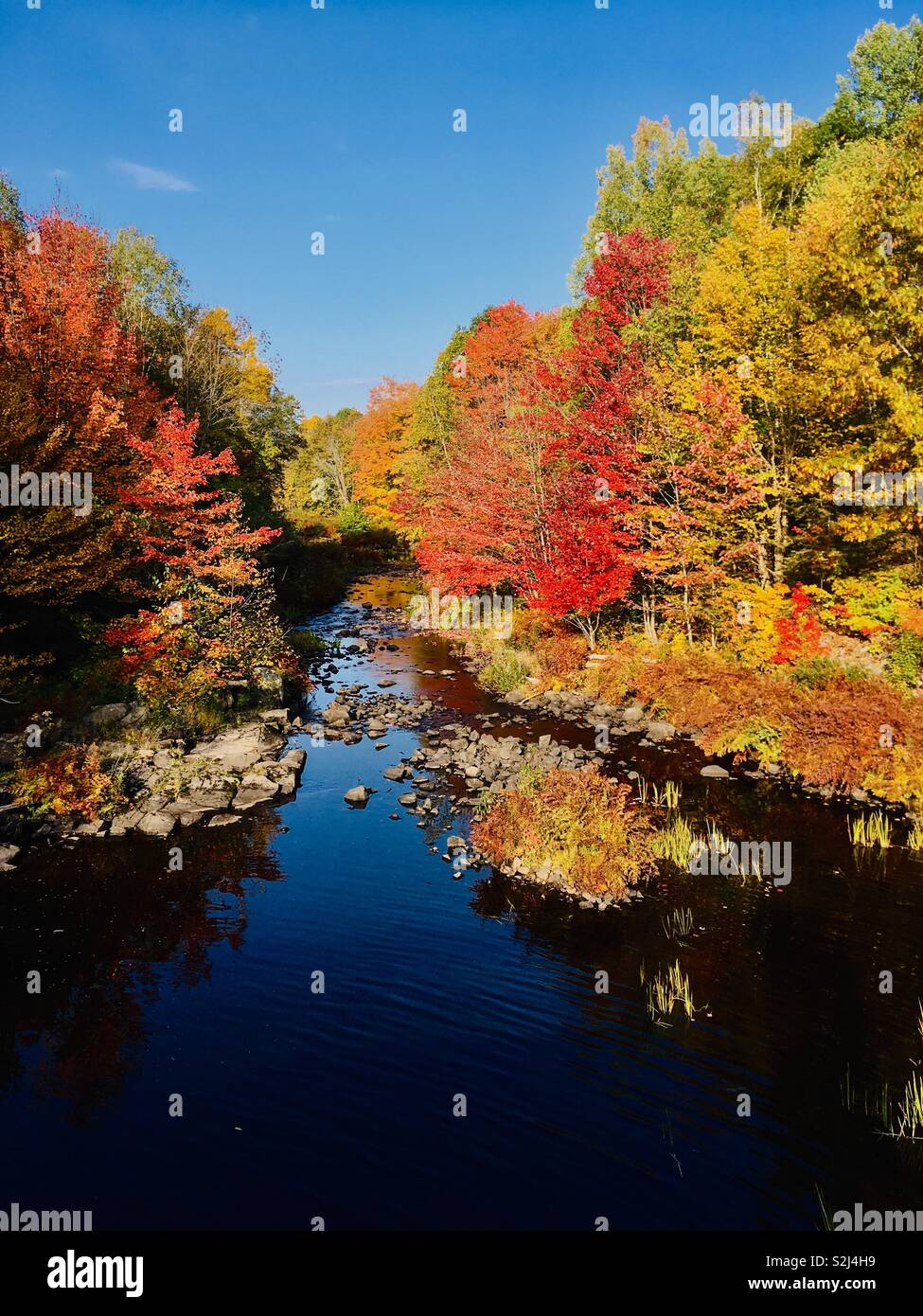 Wolf river hi-res stock photography and images - Alamy