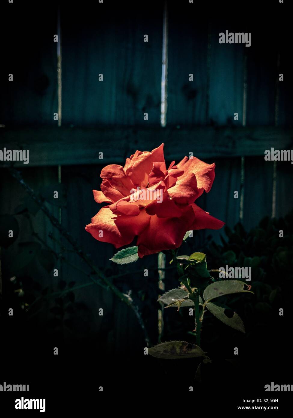 Vignette red hi-res stock photography and images - Alamy