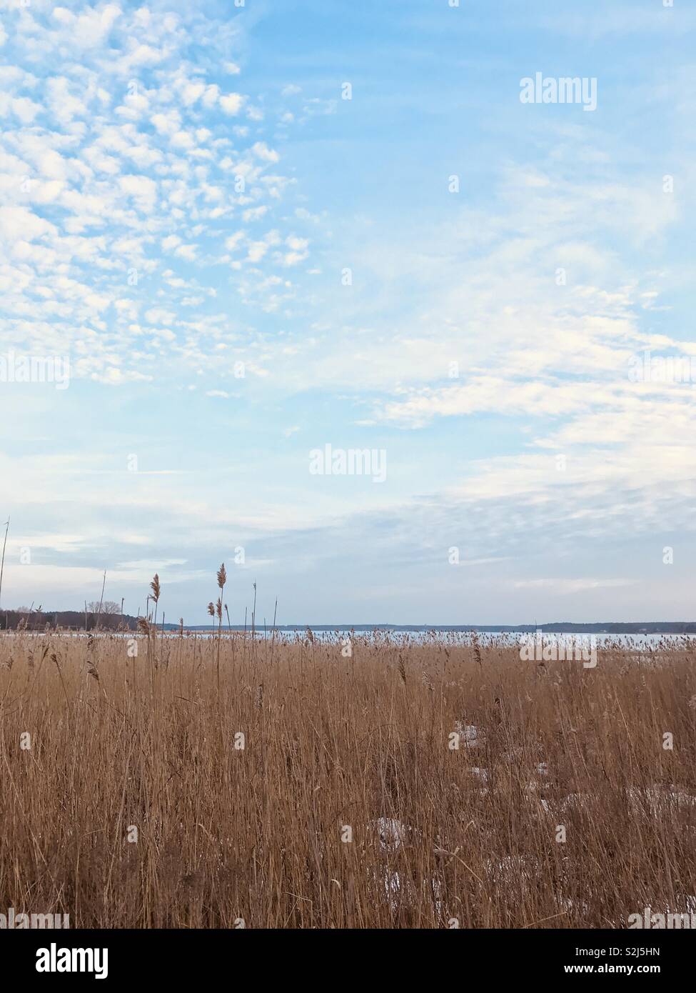 Latvia landscape hi-res stock photography and images - Alamy