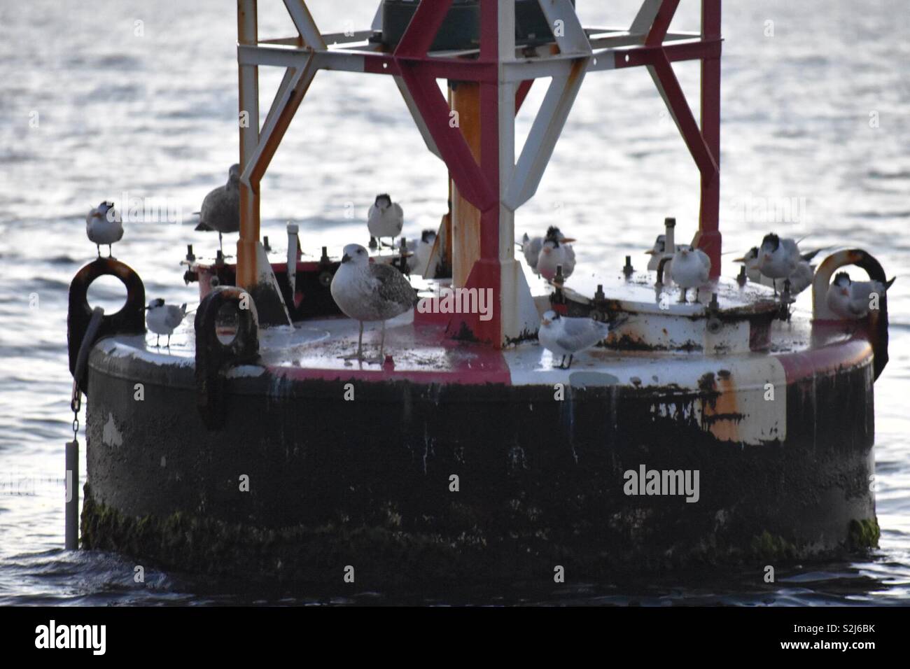 Buoy resting hi-res stock photography and images - Alamy