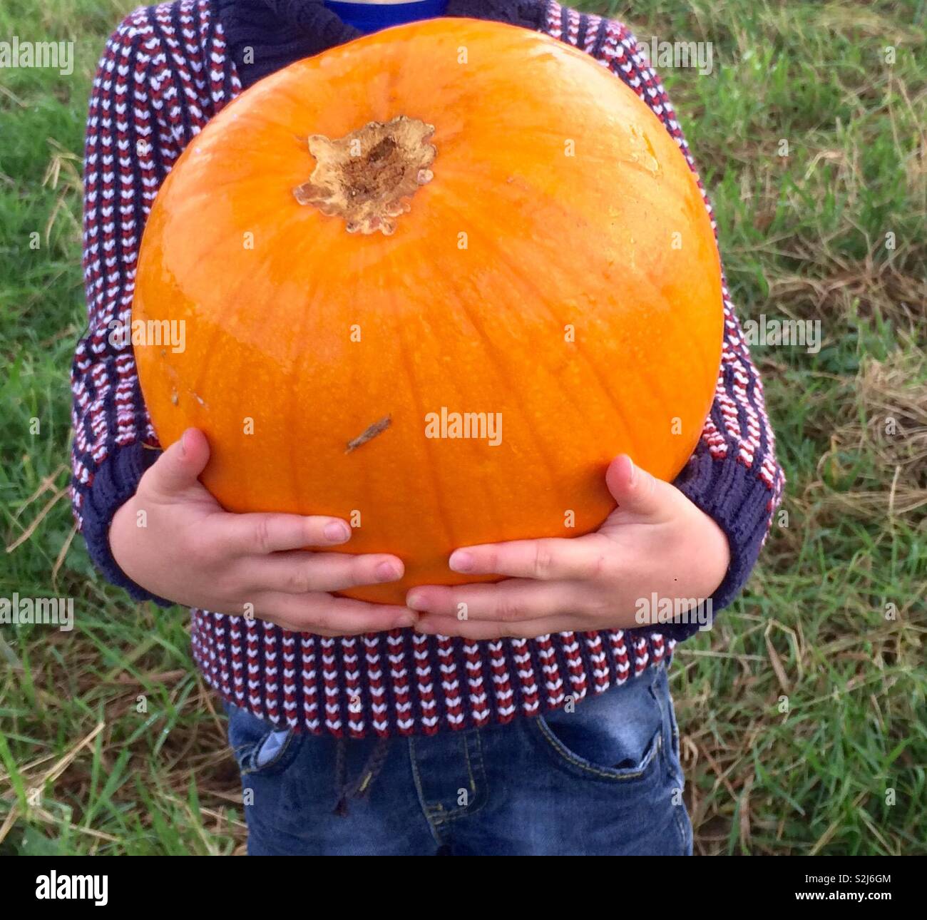 Pumpkin held by young boy Stock Photo - Alamy