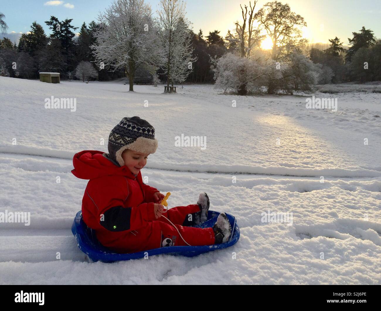 Child on sledge in snow Stock Photo - Alamy