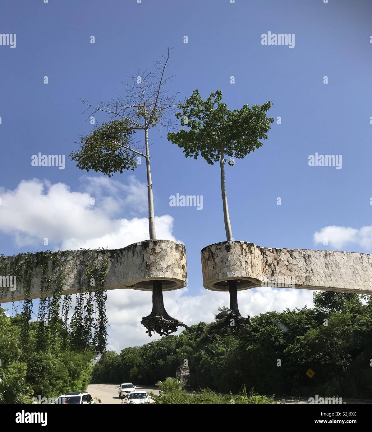 Floating tree illusion hi-res stock photography and images - Alamy