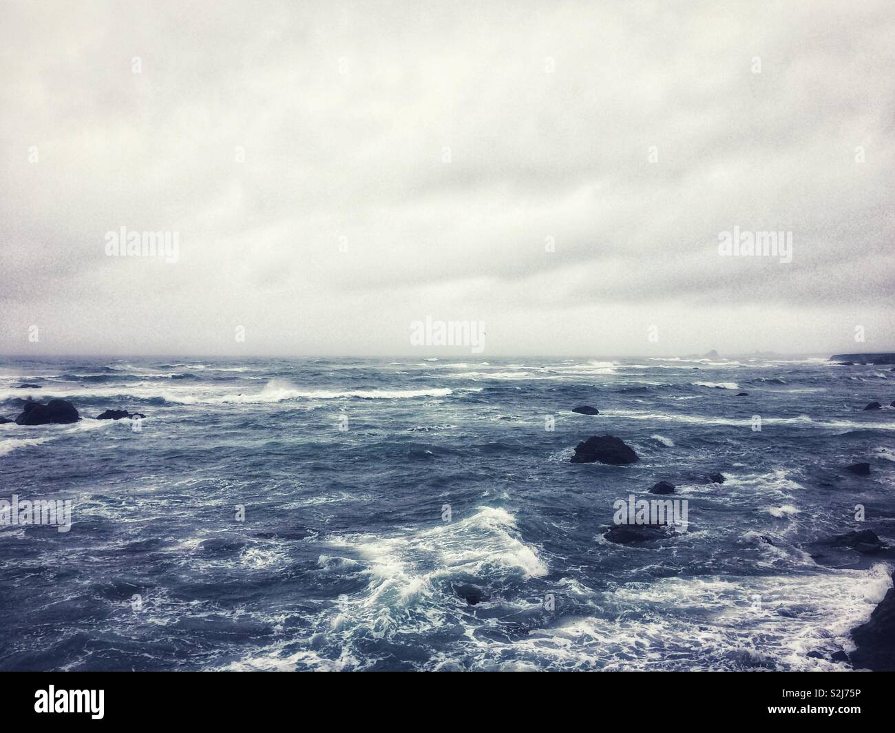 Pacific coat hi-res stock photography and images - Alamy
