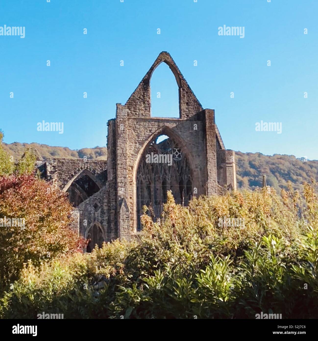 Nature vs Architecture Stock Photo - Alamy