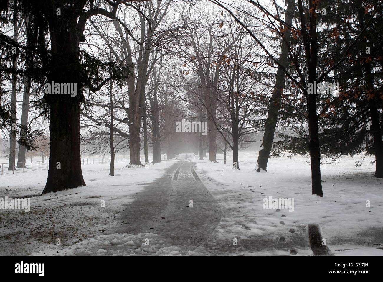 Snow covered driveway Stock Photo - Alamy