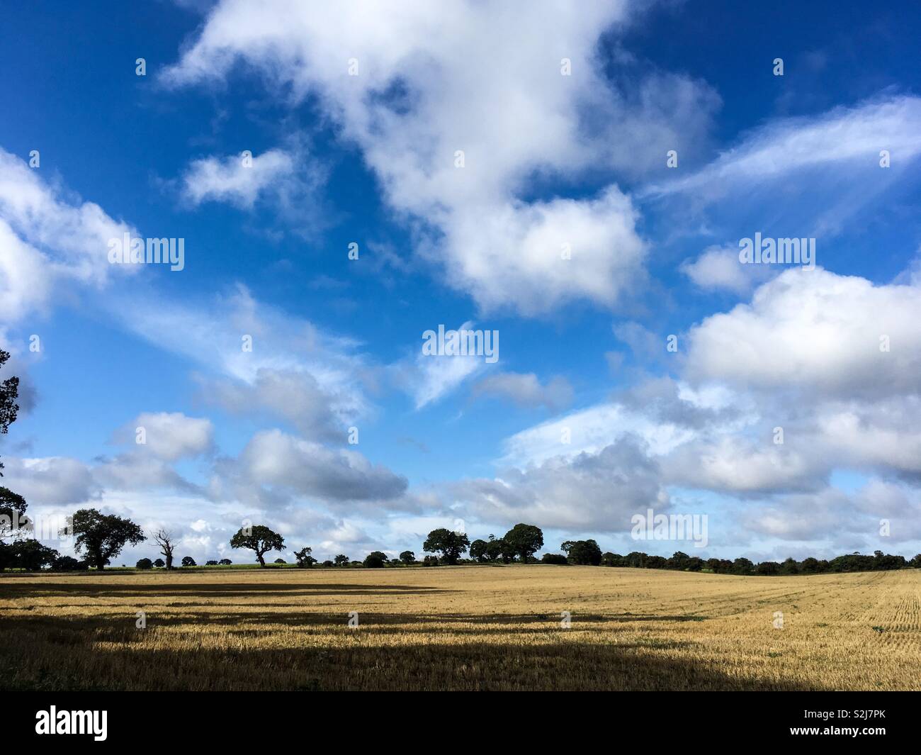 Big Norfolk Sky High Resolution Stock Photography and Images - Alamy