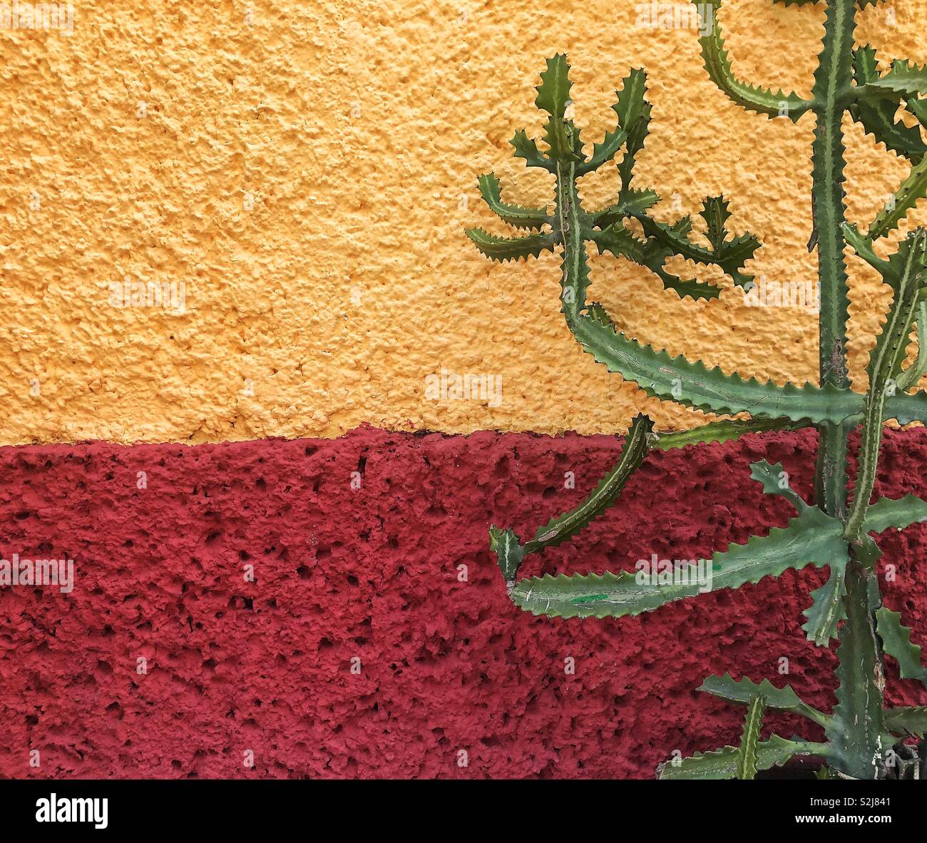 Colors of Mexico Stock Photo - Alamy