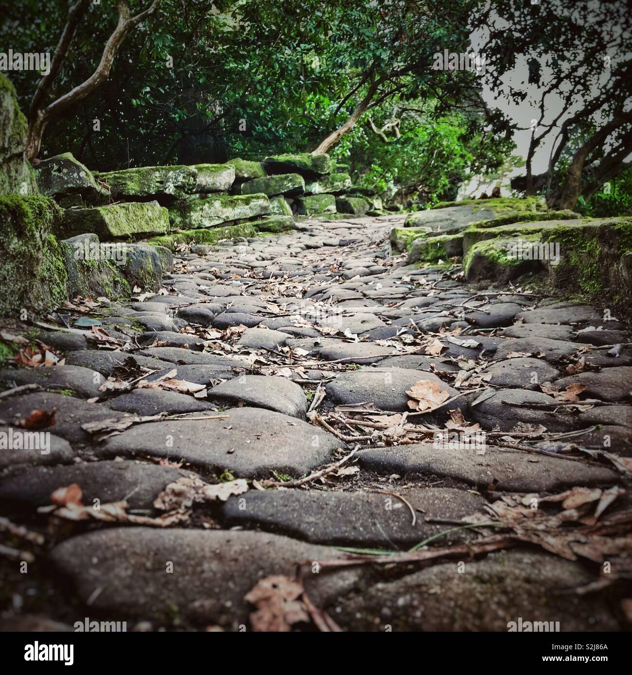 Wall cobbled stones hi-res stock photography and images - Alamy