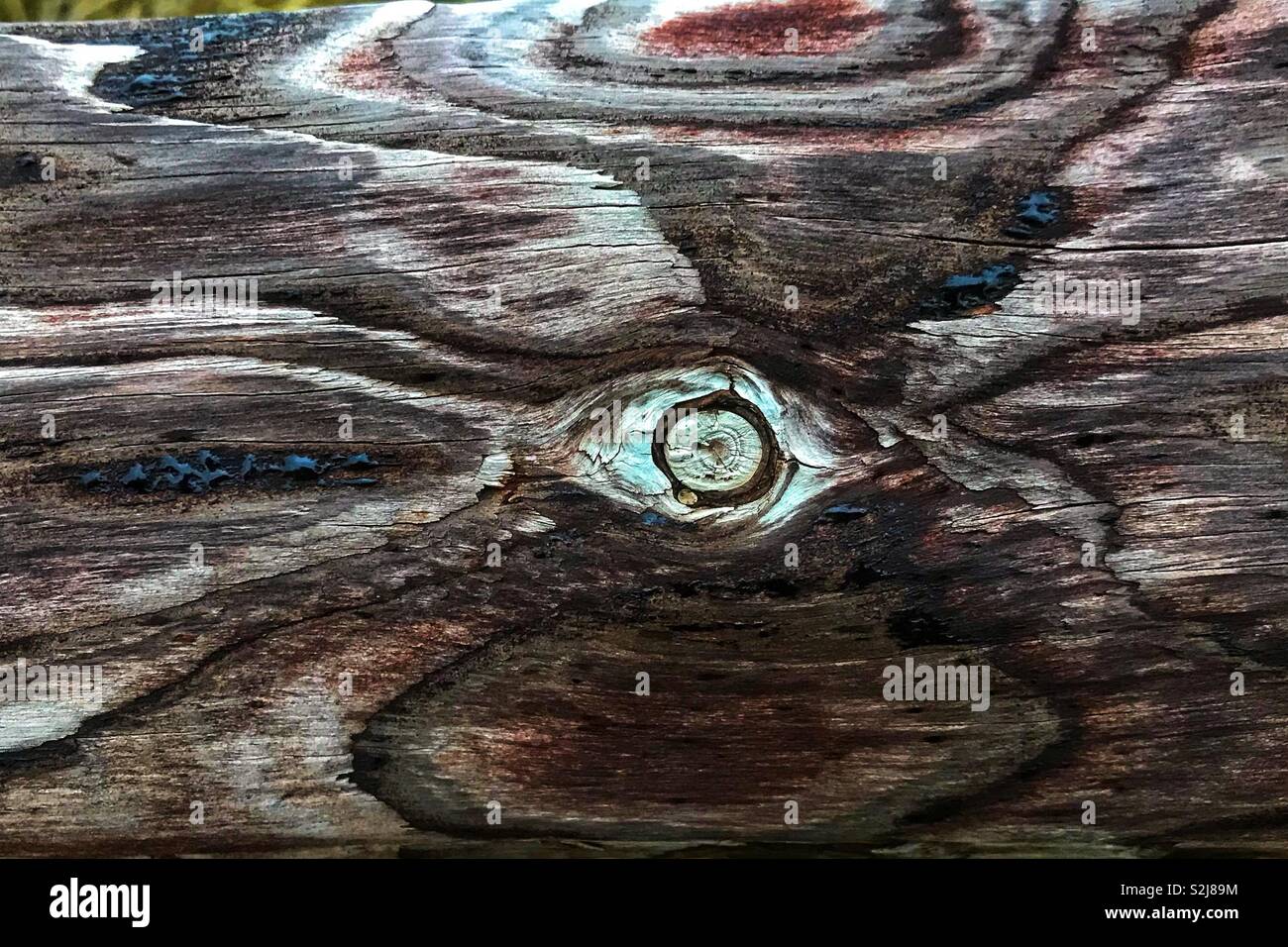 Wood grain patterns hi-res stock photography and images - Alamy