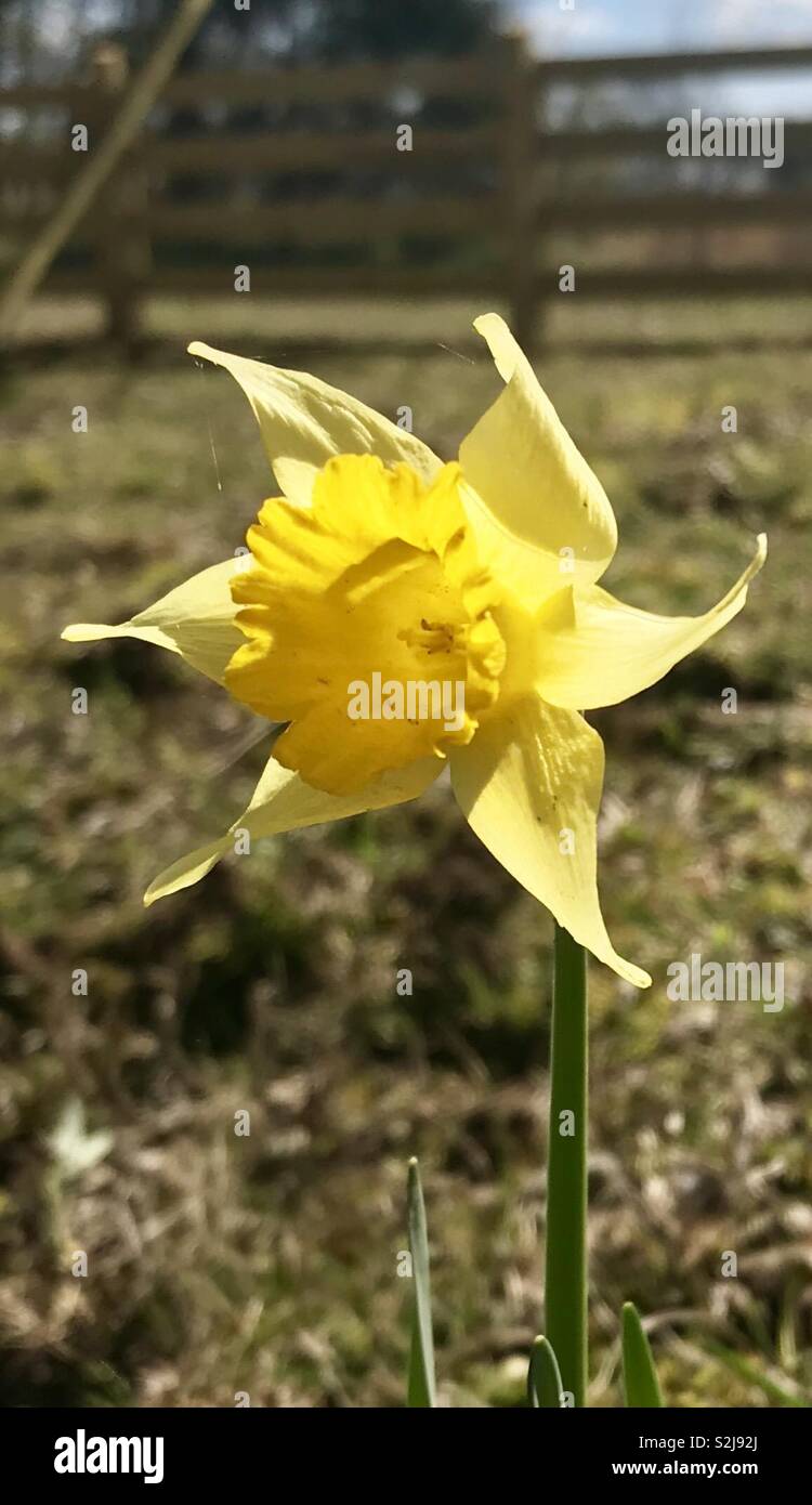 Sign of hope Stock Photo - Alamy