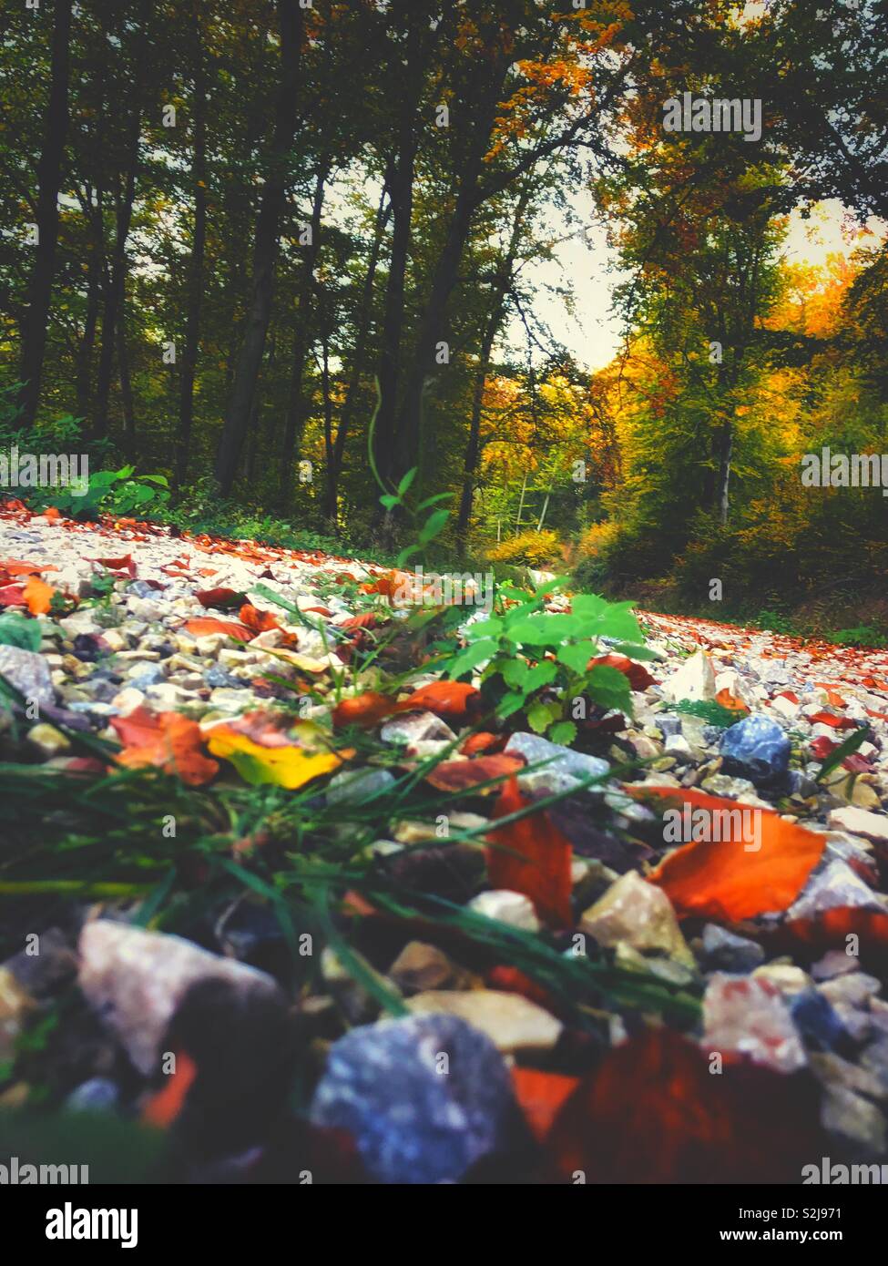 Positive nature hi-res stock photography and images - Alamy