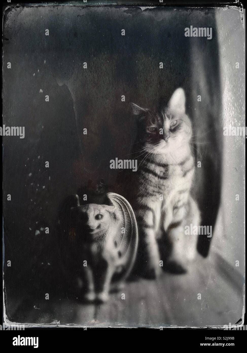 Bad cat good cat Stock Photo - Alamy