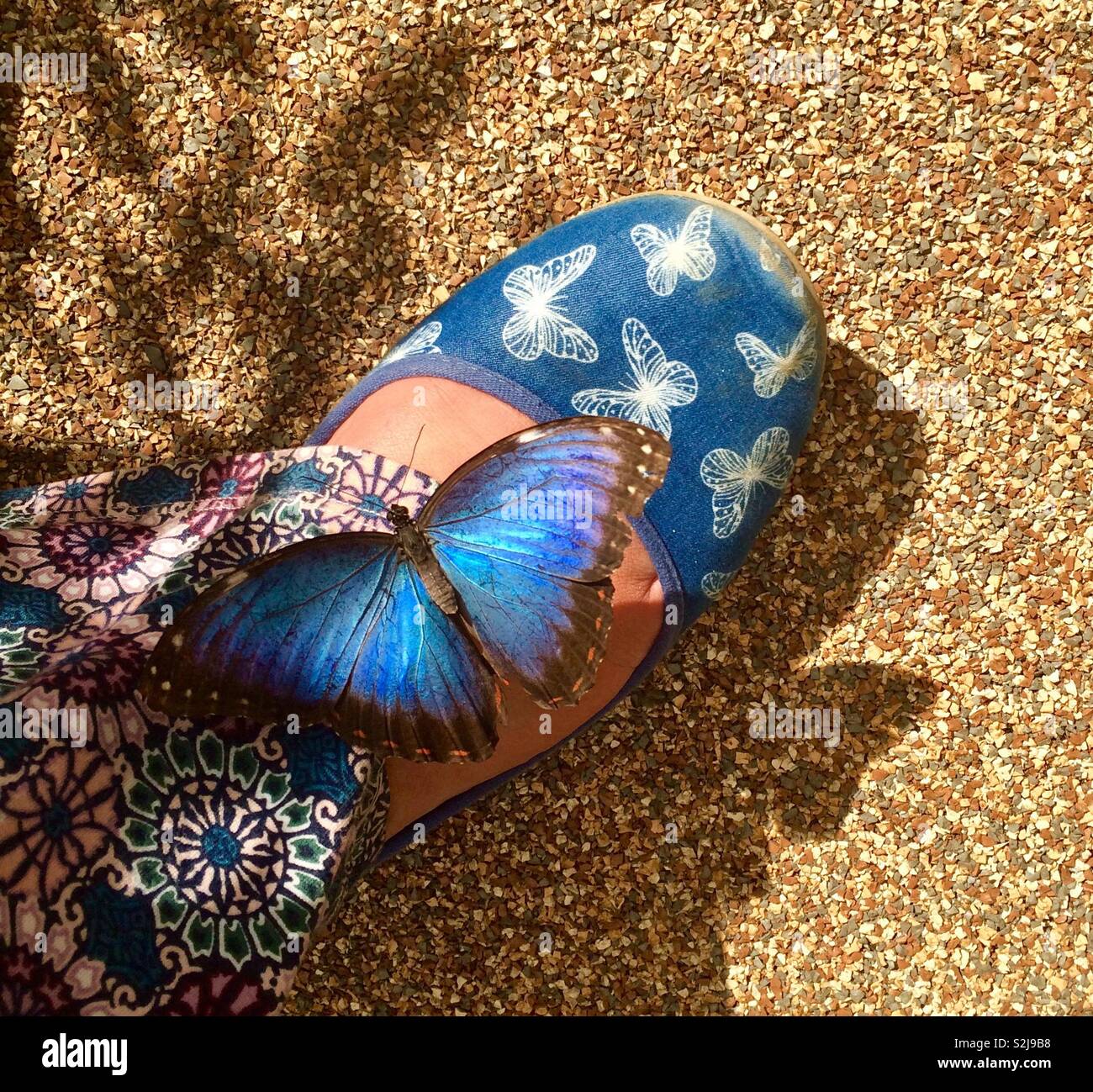 Womans foot hi-res stock photography and images - Alamy