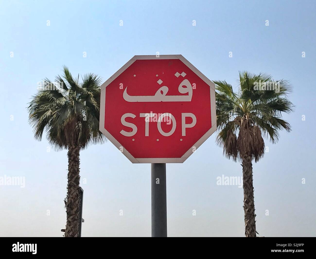 Arabic stop sign between palm trees in Dubai Stock Photo - Alamy