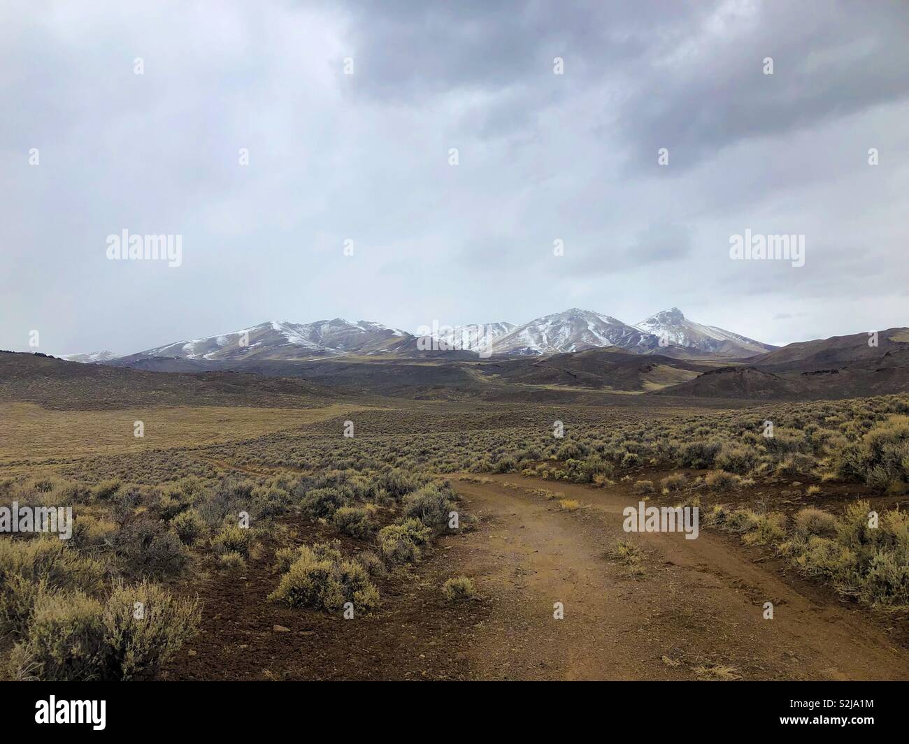 Hiking in Fields, Oregon Stock Photo - Alamy