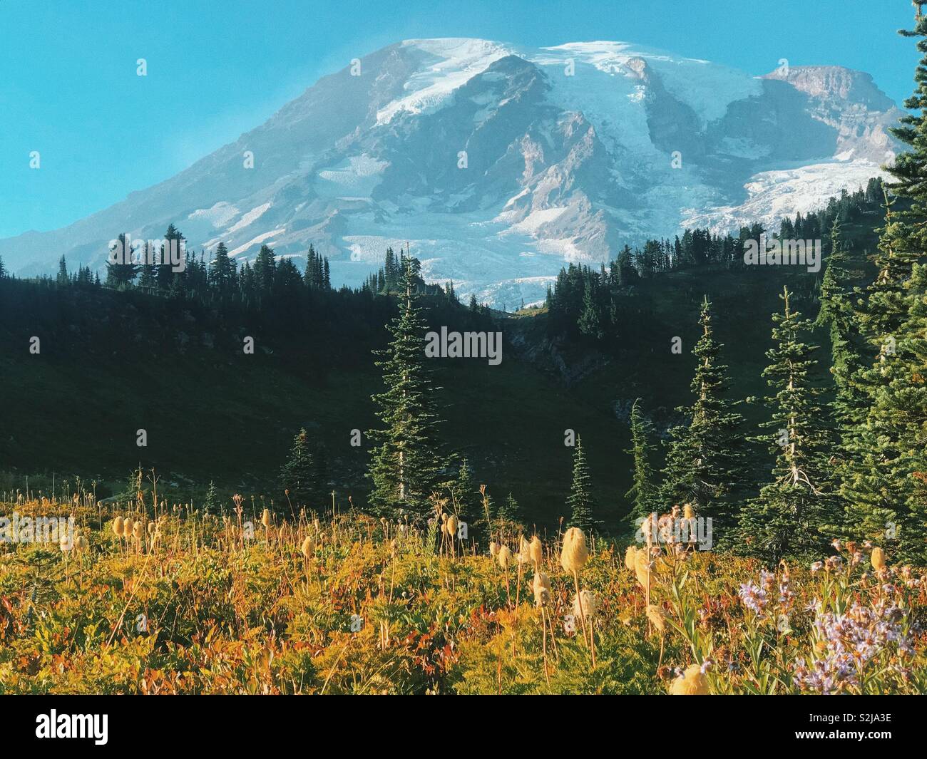 Mount Rainier Washington State Stock Photo - Alamy