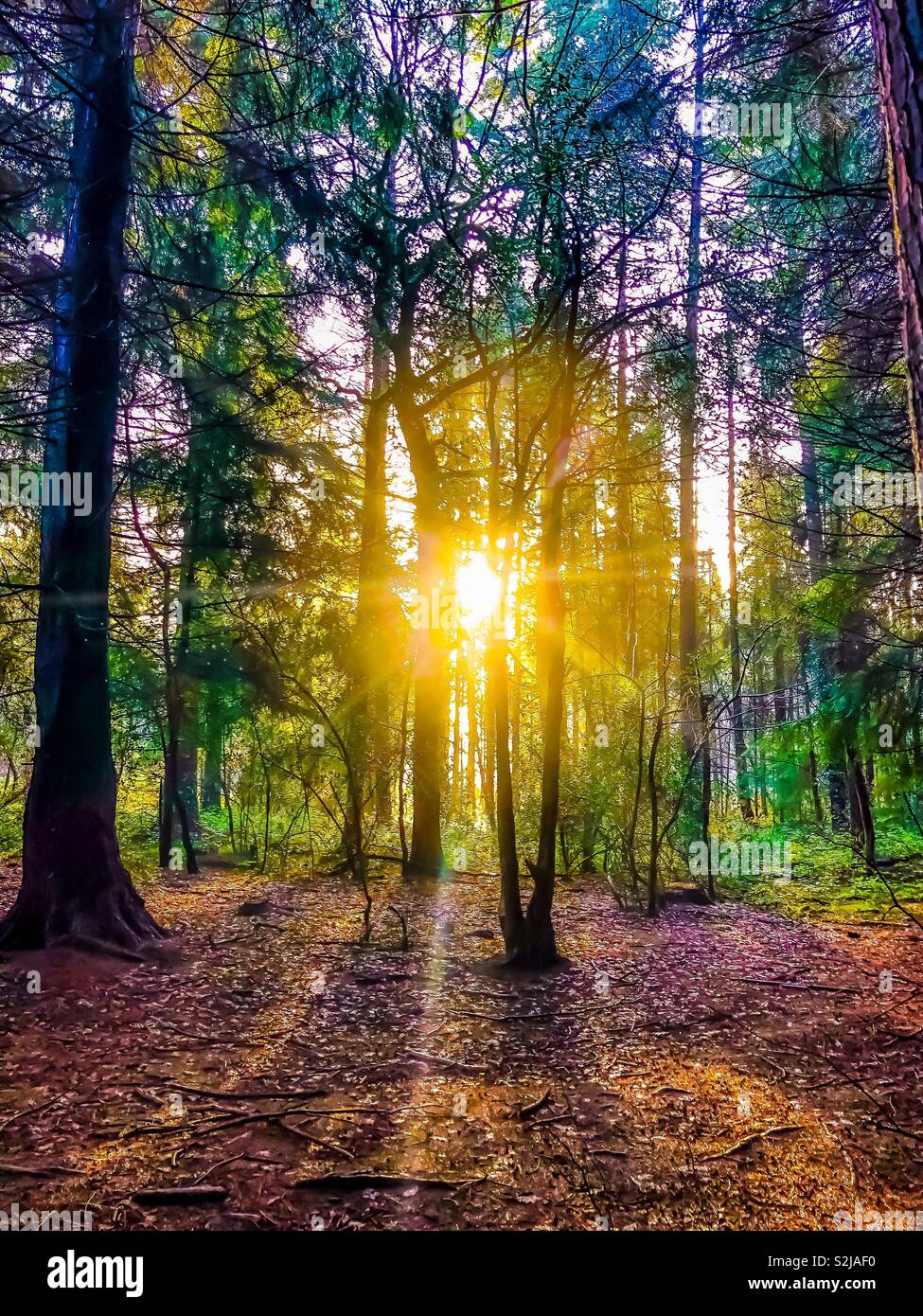 Find your light hi-res stock photography and images - Alamy