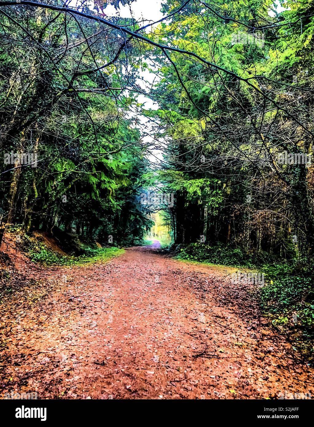 The path ahead is clear Stock Photo - Alamy