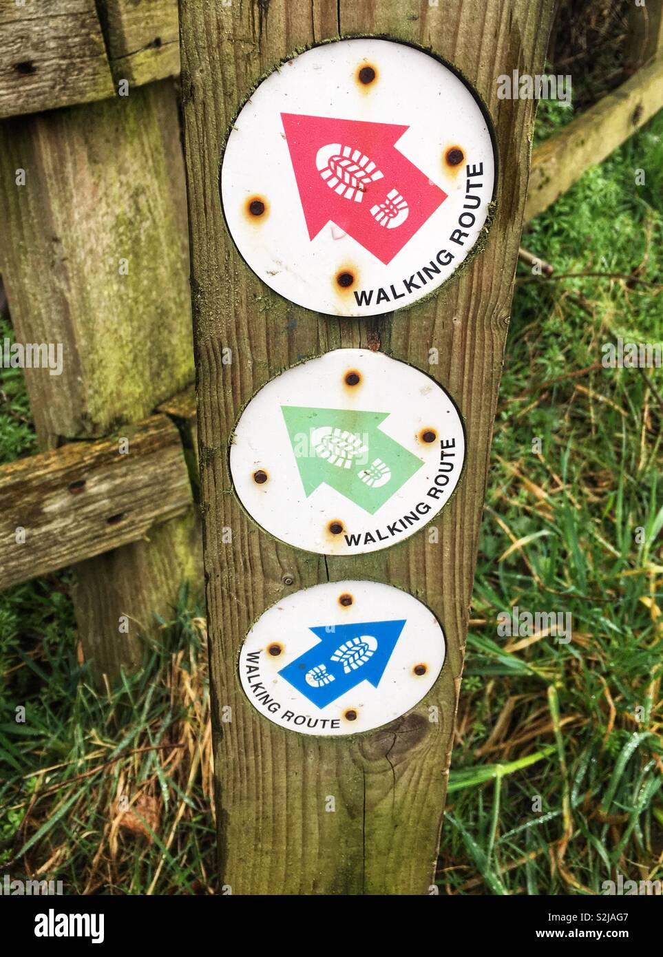 Follow markers hi-res stock photography and images - Alamy