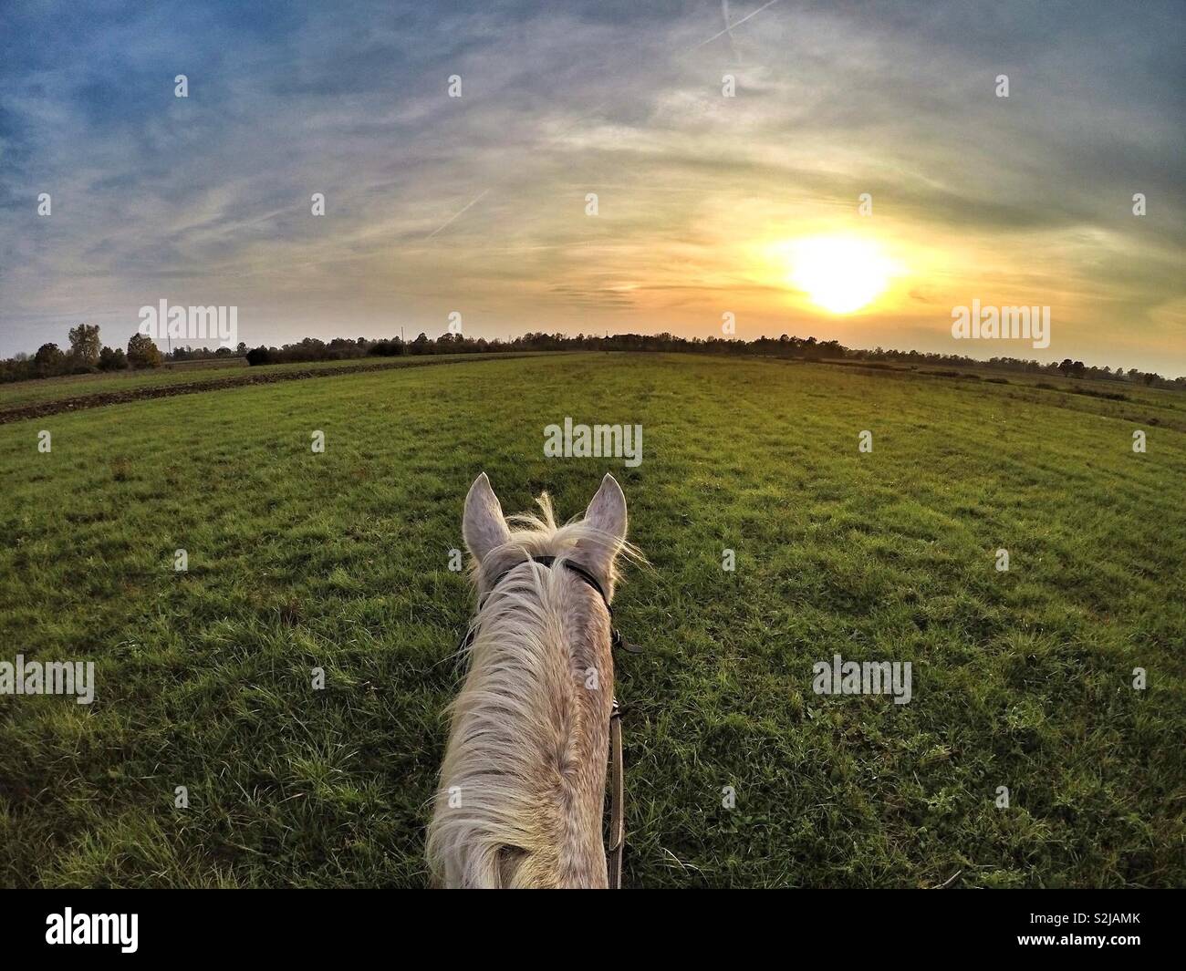 Gopro horse riding hi-res stock photography and images - Alamy