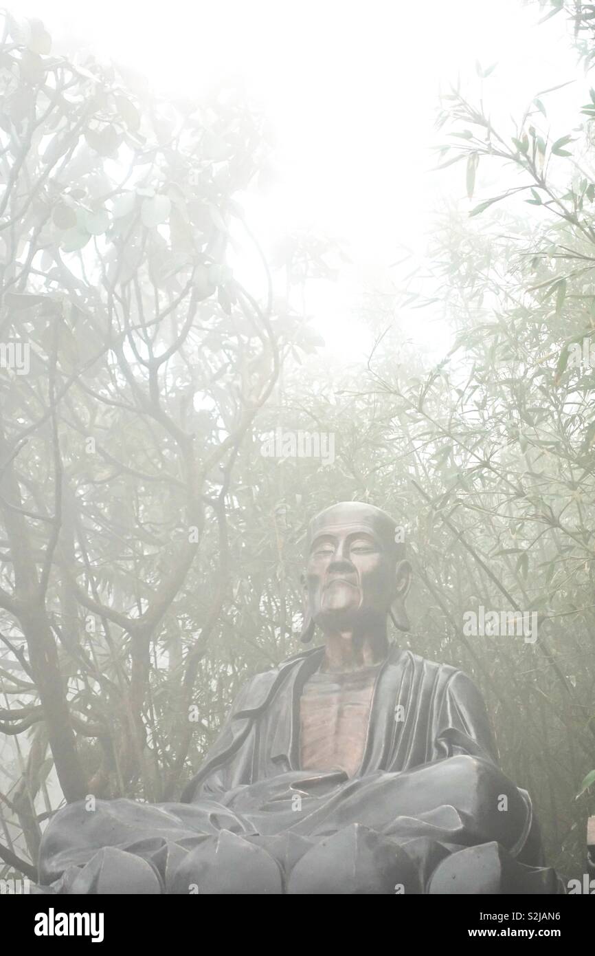 Monk plants hi-res stock photography and images - Alamy