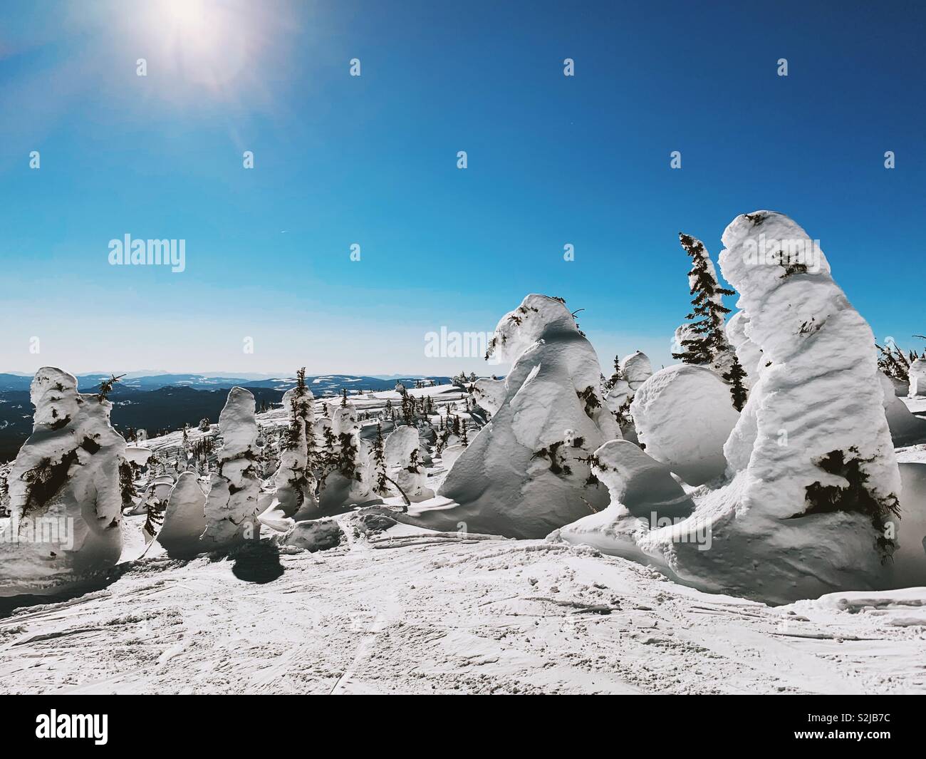 Snow covered trees in high altitude with mountains in the distance and ...