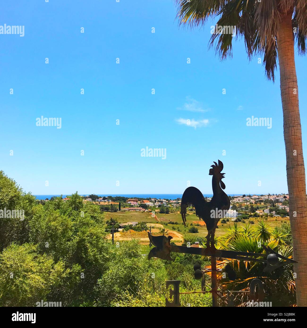 Sun sunshine palm tree hi-res stock photography and images - Alamy
