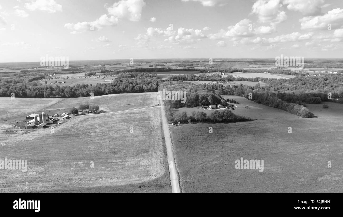 Fields woods forest trees hi-res stock photography and images - Alamy
