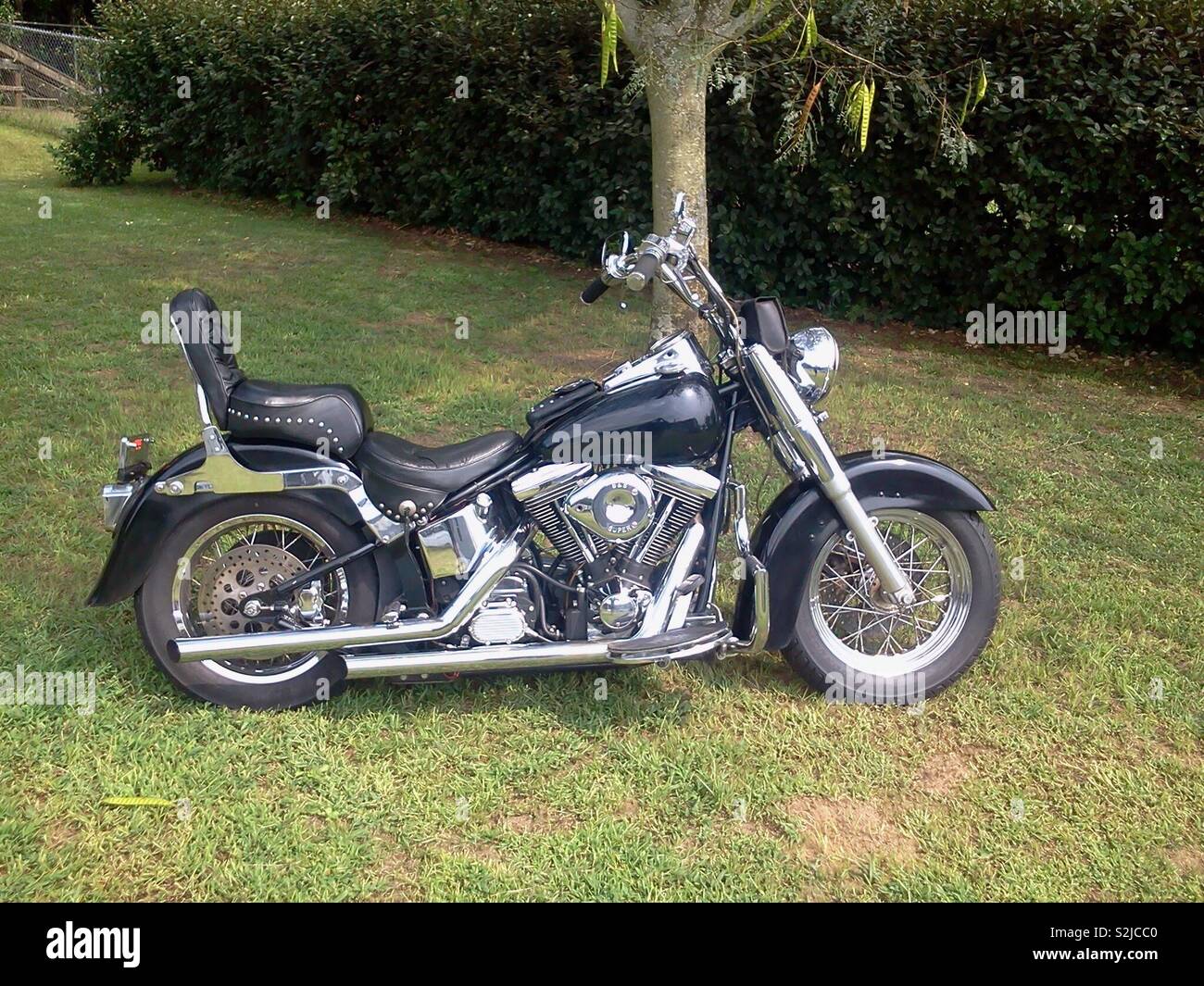 Beautiful custom hi-res stock photography and images - Alamy