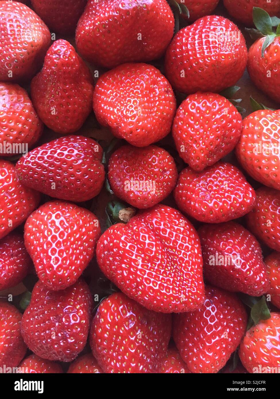 Fraises hi-res stock photography and images - Alamy