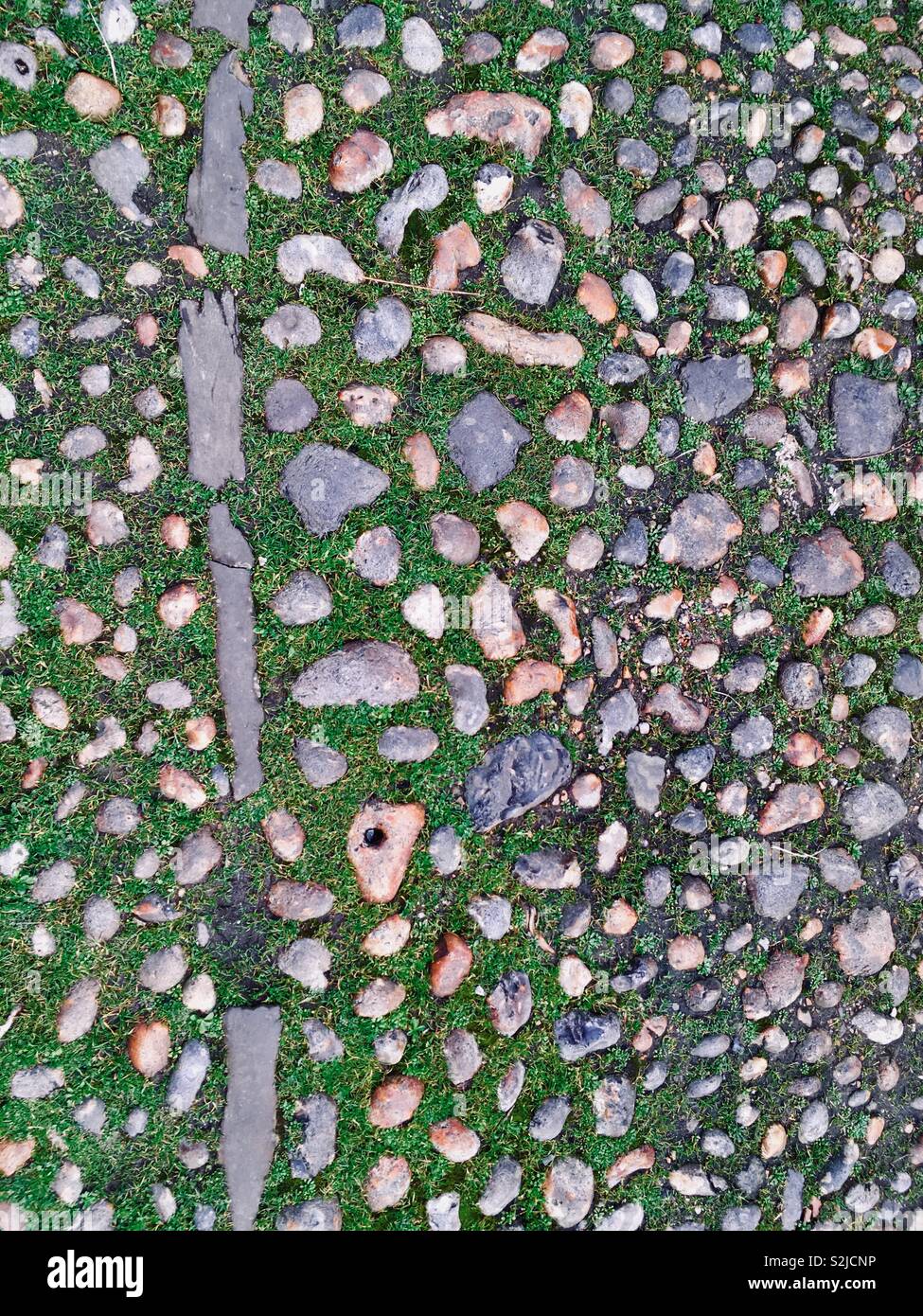 Cobbled pathway with colourful stones and grass in between Stock Photo ...