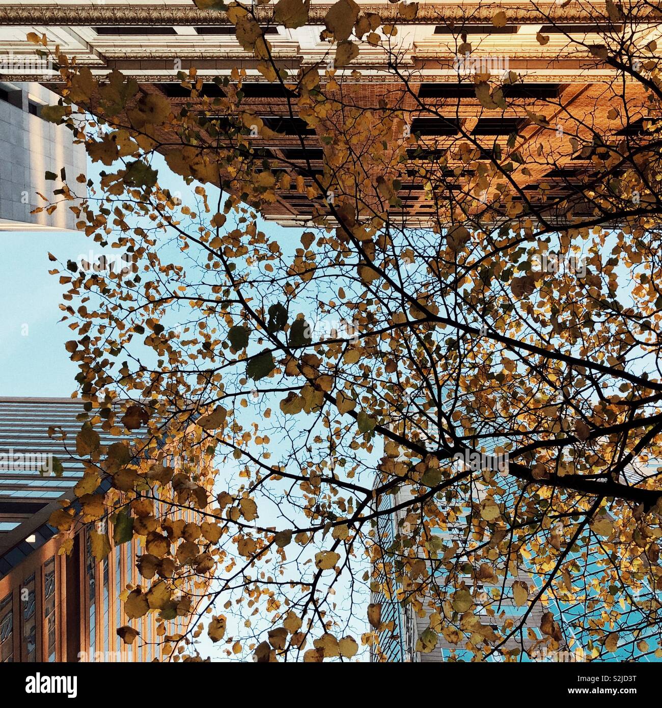 Urban and nature Stock Photo - Alamy