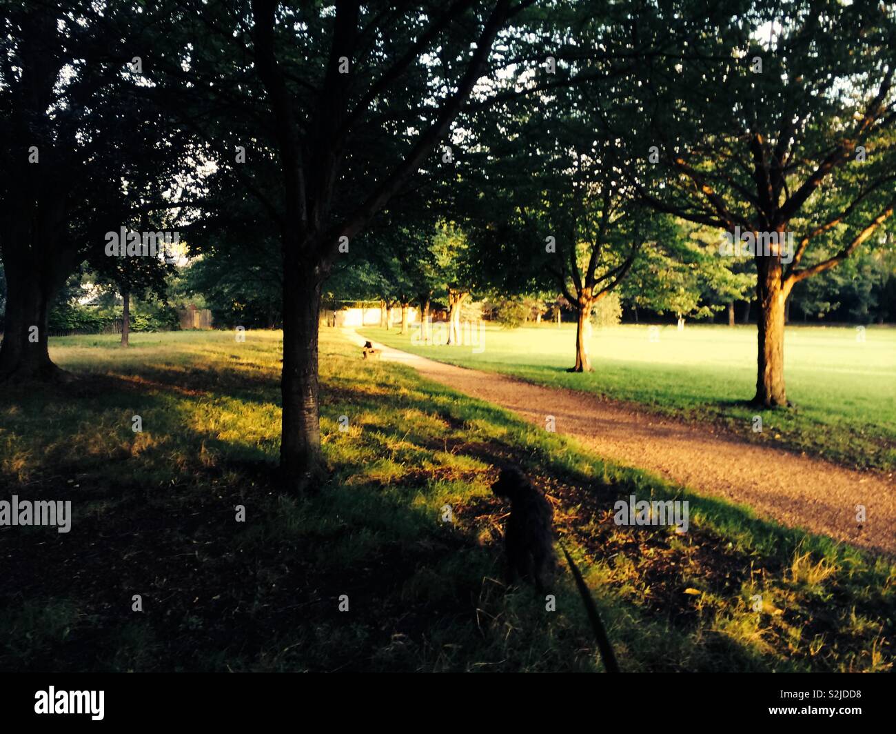 Sunlight and Shadows Stock Photo - Alamy