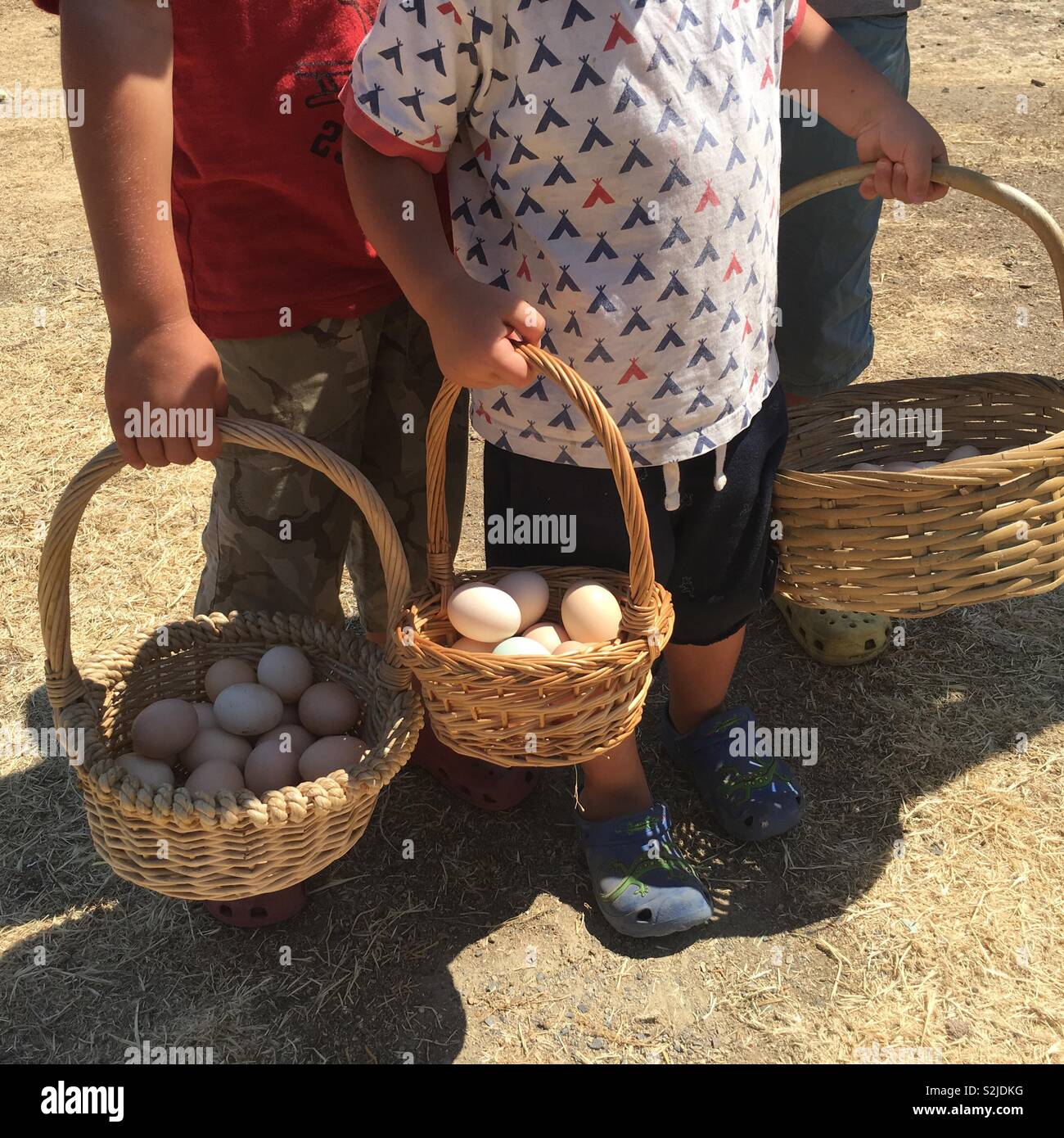 Children and chickens hi-res stock photography and images - Alamy