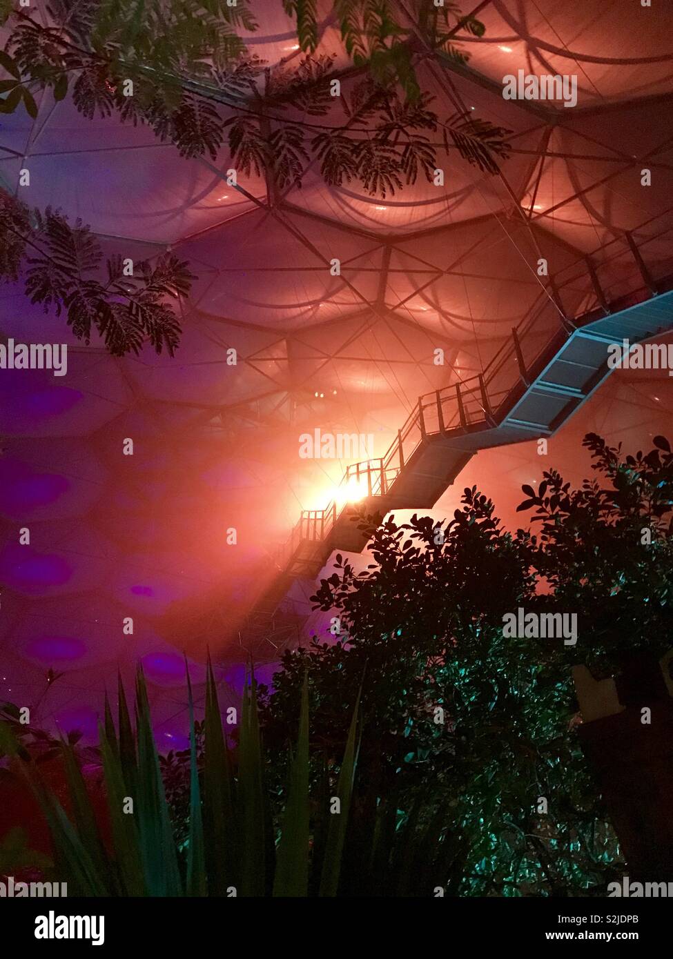 Eden project walkway hi-res stock photography and images - Alamy