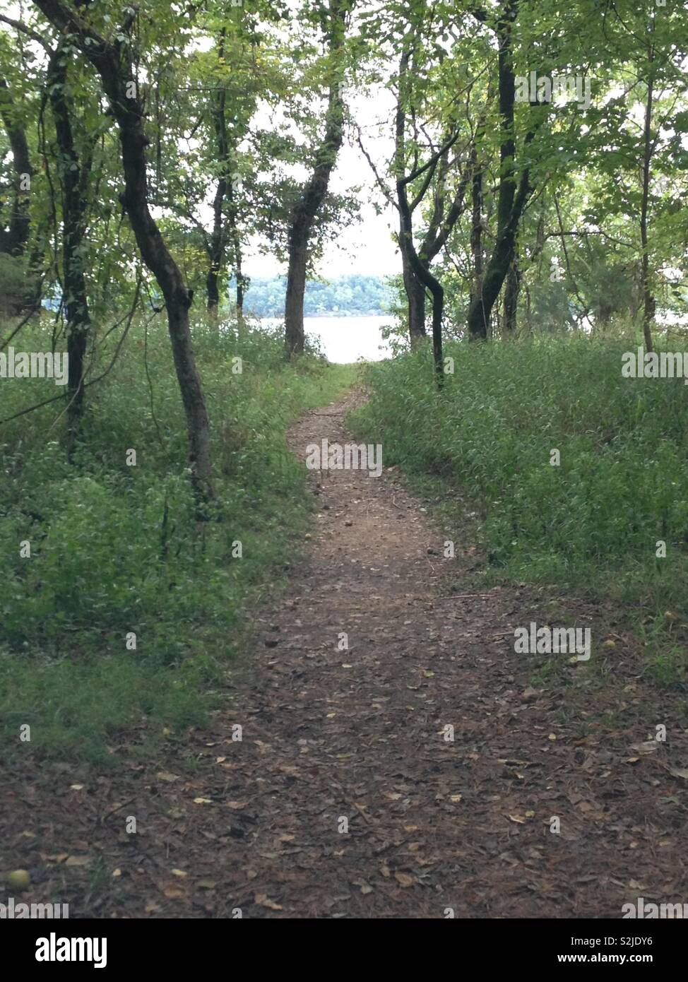 Path not taken Stock Photo - Alamy