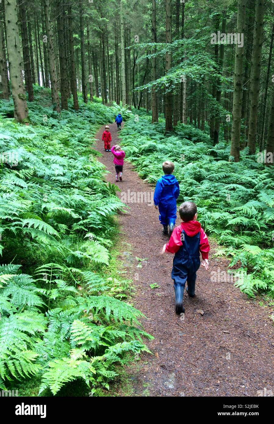 Children in the woods hi-res stock photography and images - Alamy