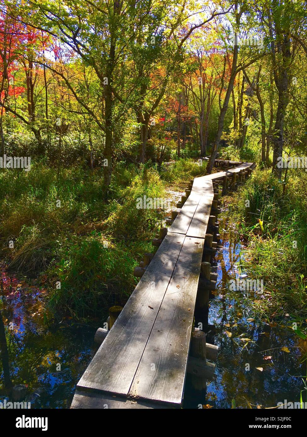 Marsh boardwalk trail Stock Photo - Alamy