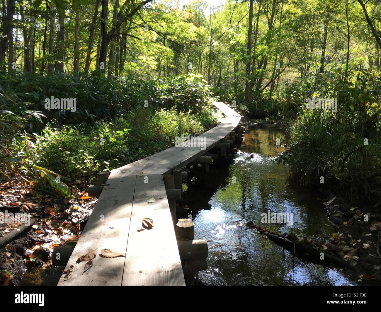 Boardwalk hike trail hi-res stock photography and images - Alamy