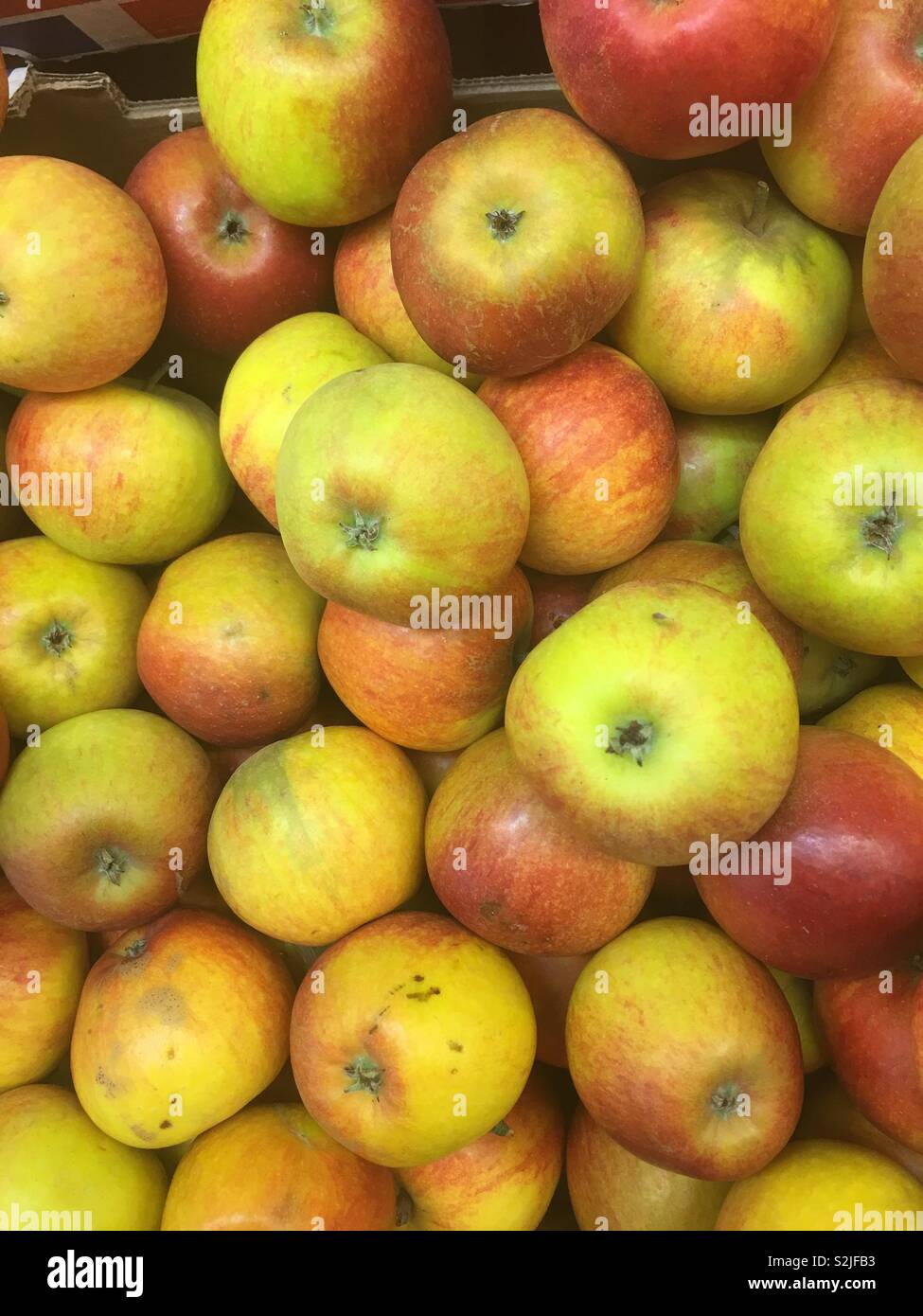 Cox’s Orange Pippin Apple (Malus doméstica) for sale in green grocer ...