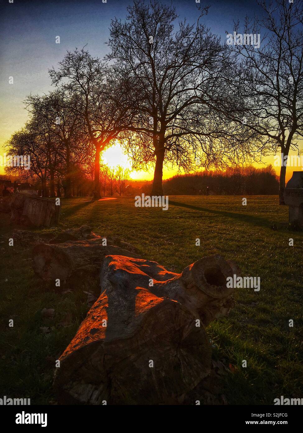 Streatham common hi-res stock photography and images - Alamy