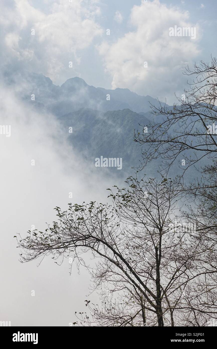 Summit of Fansipan. Highest mountain in Vietnam. With tree and clouds ...