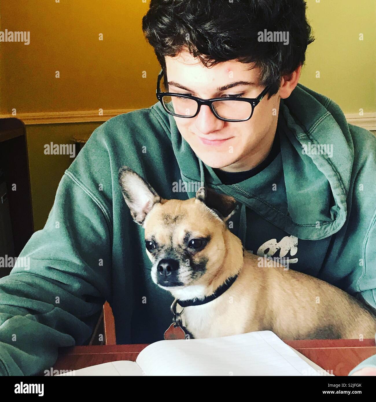 Guy and his dog hi-res stock photography and images - Alamy