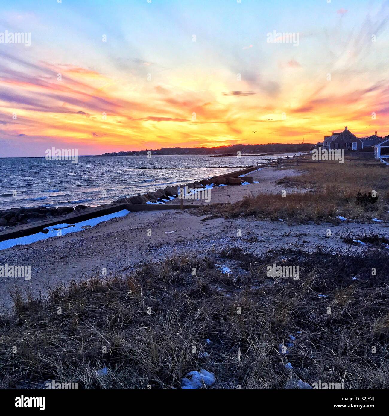 Kalmus High Resolution Stock Photography and Images - Alamy